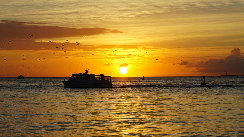 DSC05324.JPG - Marcus Soldner - information has no value until it is shared